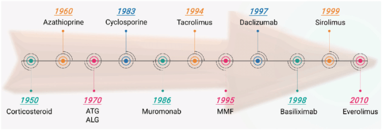 A Brief History of Immunosuppression – Dawn Levitt, Author