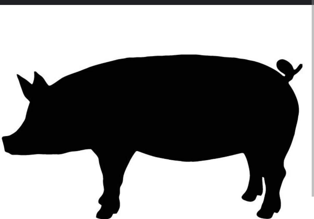 First-ever Kidney Xenotransplant with LVAD – Dawn Levitt, Author